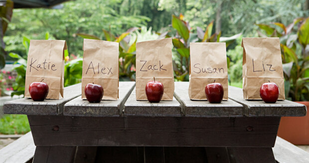 Blog - How to Pack an Organic Lunch that Your Child will Devour - Applegate